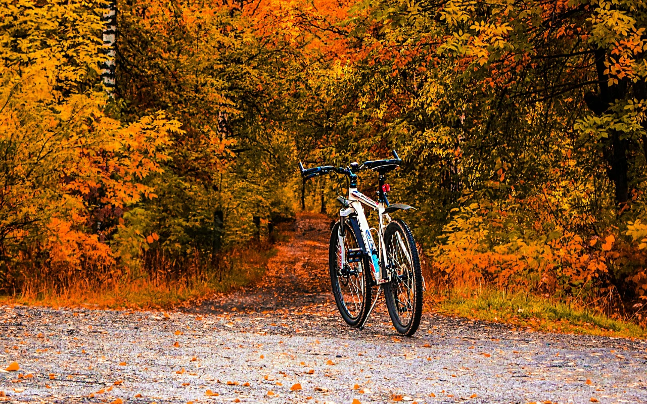 What If I Was Partially At Fault For A Bike Accident? | Kamper ...